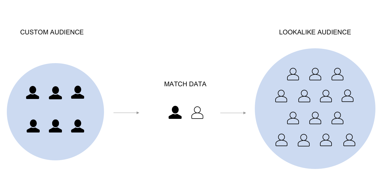 Meta Audiences & Ads